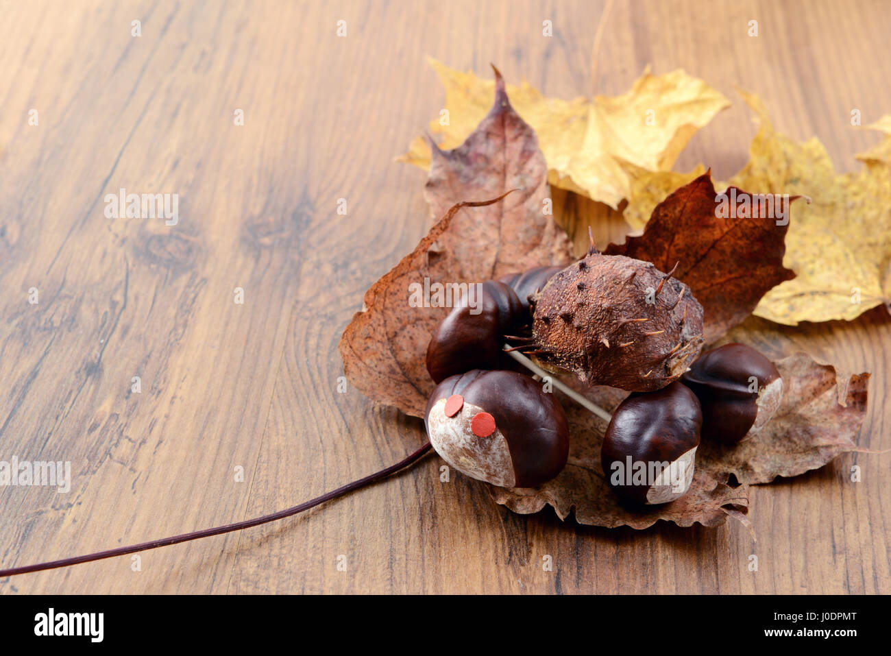 Creating Chestnut Figures High Resolution Stock Photography and Images ...