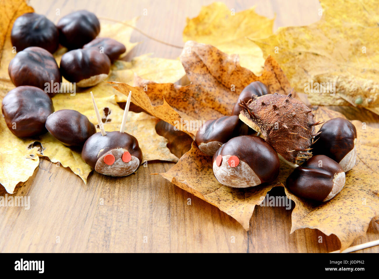 creating chestnut figures like turle and caterpillar Stock Photo - Alamy