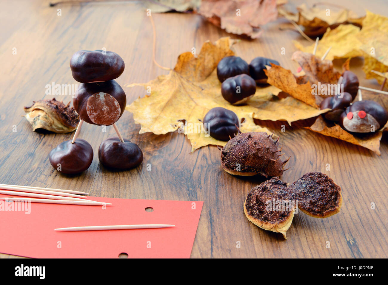 creating chestnut figures like turle and little man Stock Photo - Alamy
