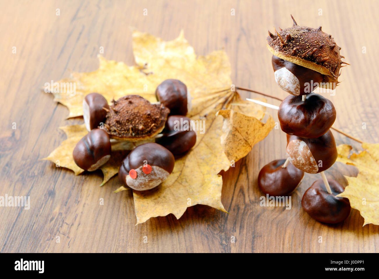 creating chestnut figures like turle and little man Stock Photo - Alamy
