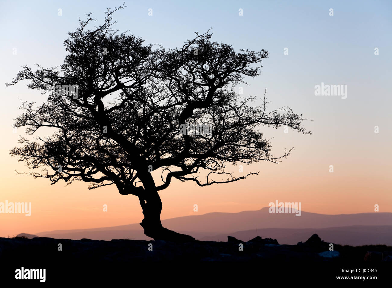 Winskill stones hi-res stock photography and images - Alamy