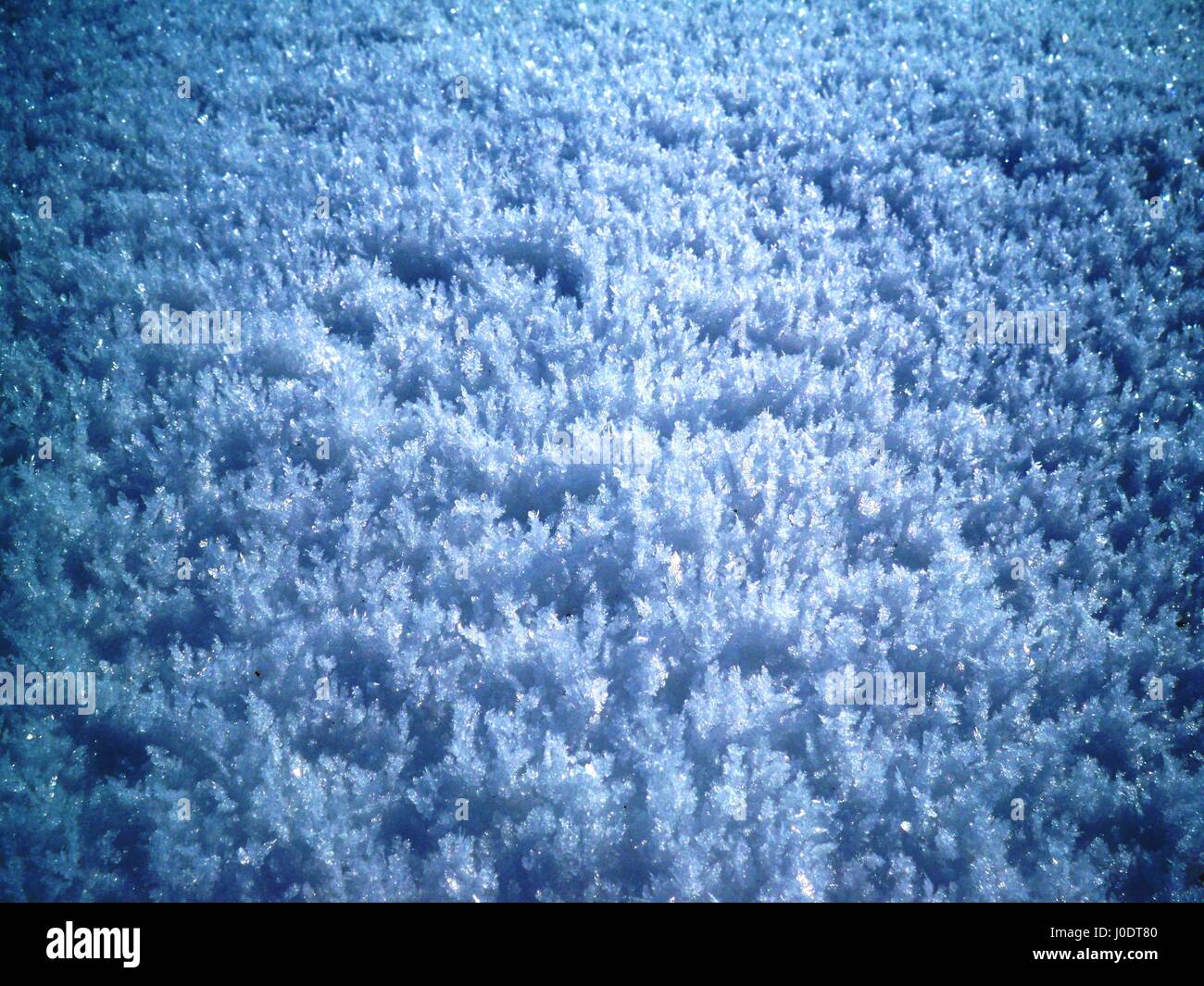 a close up view of frost crystals undisturbed on the ground Stock Photo ...