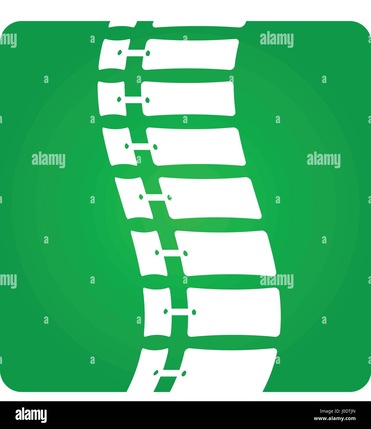 2D Vector Spinal column Musculoskeletal Image w/ Rounded Rectangle on ...