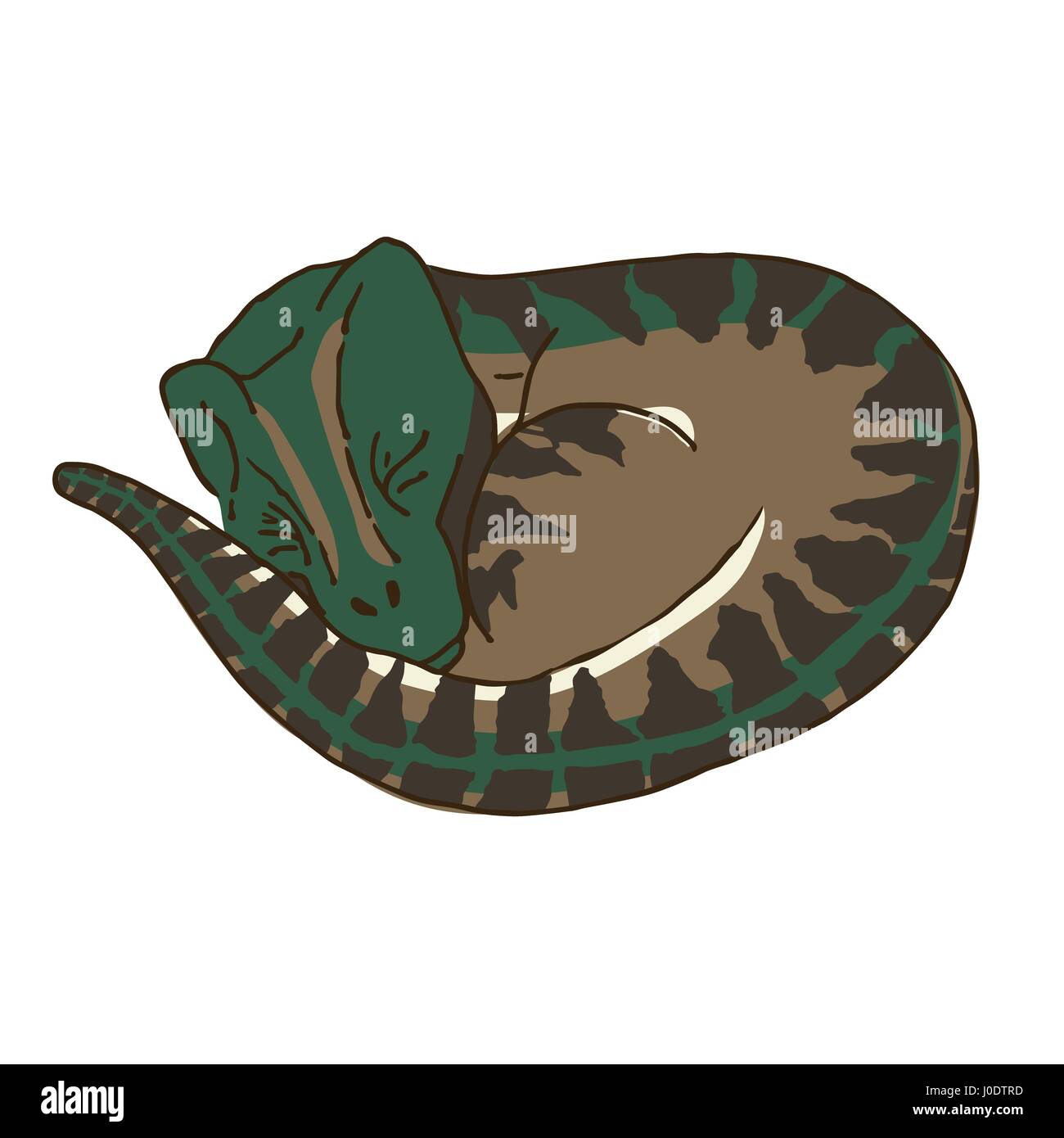 Cute Baby Velociraptor / Raptor Dinosaur Sleeping Stock Vector Image ...