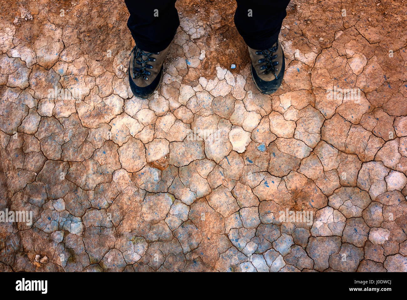 Cracked land texture. Beautiful background for your project Stock Photo ...