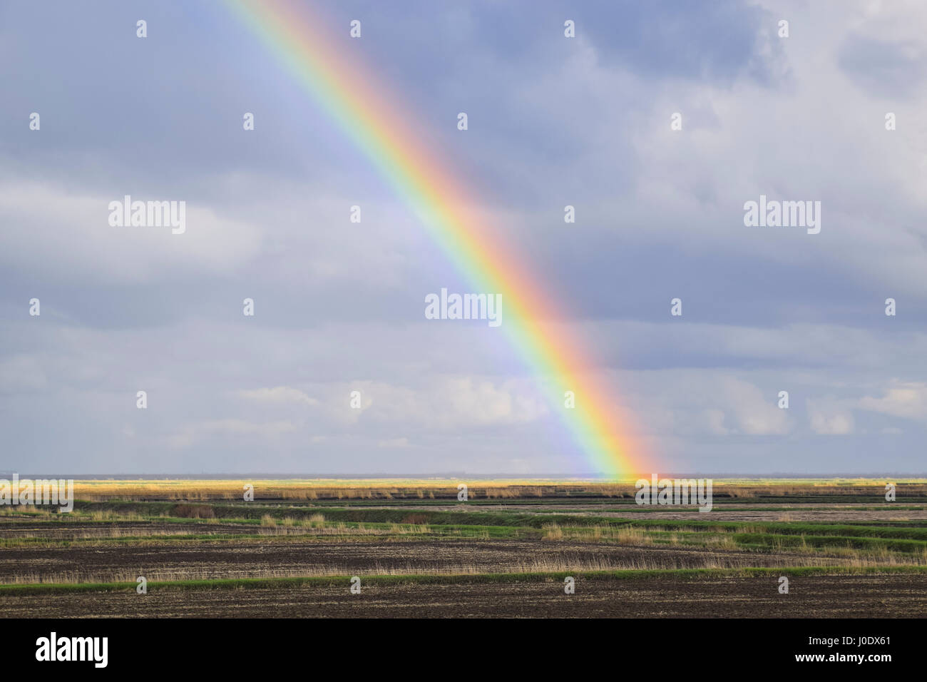 Rainbow, a view of the landscape in the field. Formation of the rainbow ...