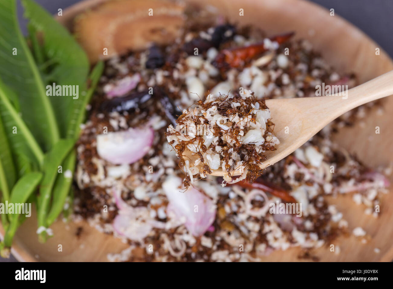 Ant Eggs Spicy Salad with Herbs on wood background Stock Photo - Alamy