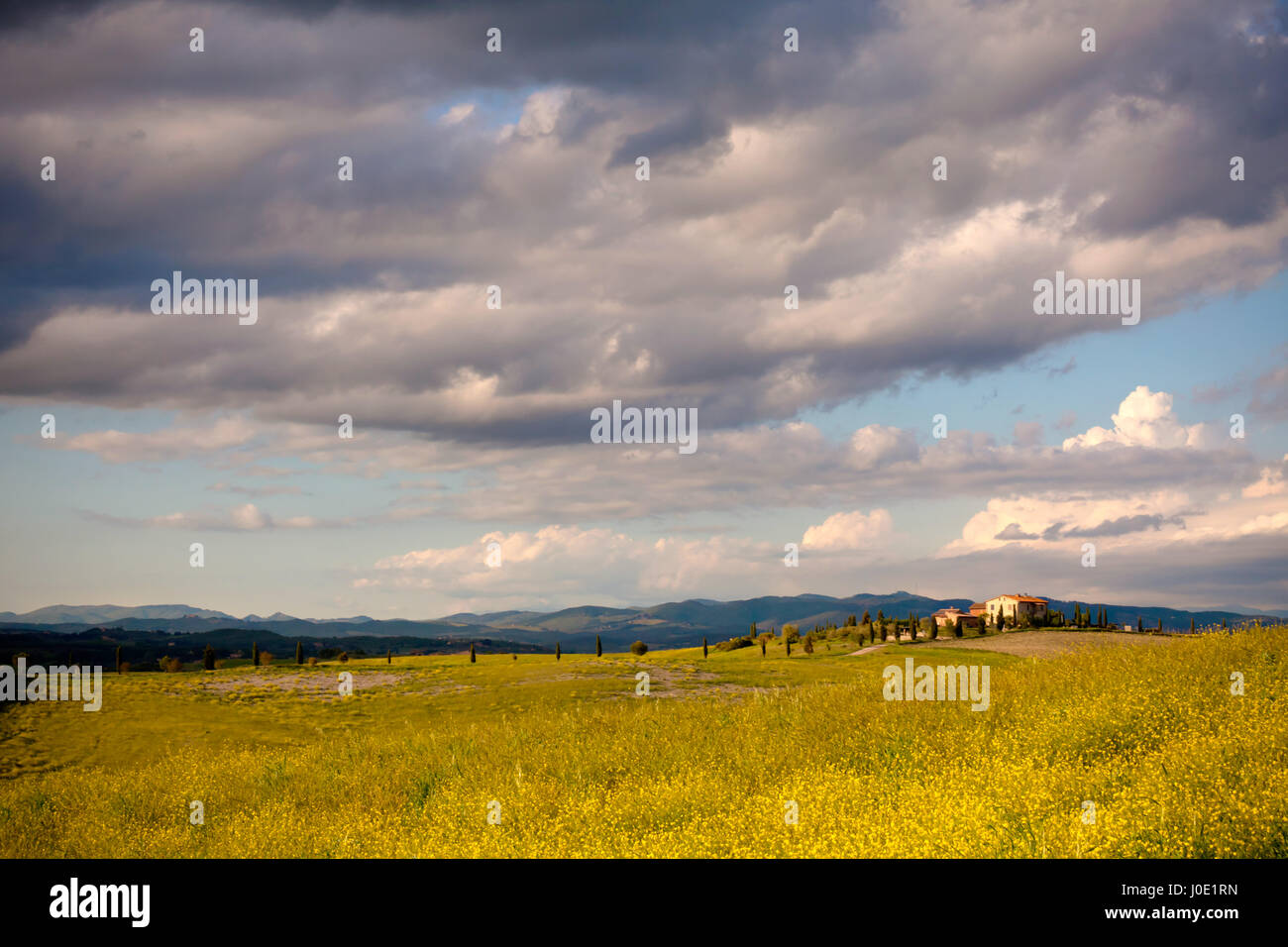 typical tuscan countryside with and meadow Stock Photo - Alamy