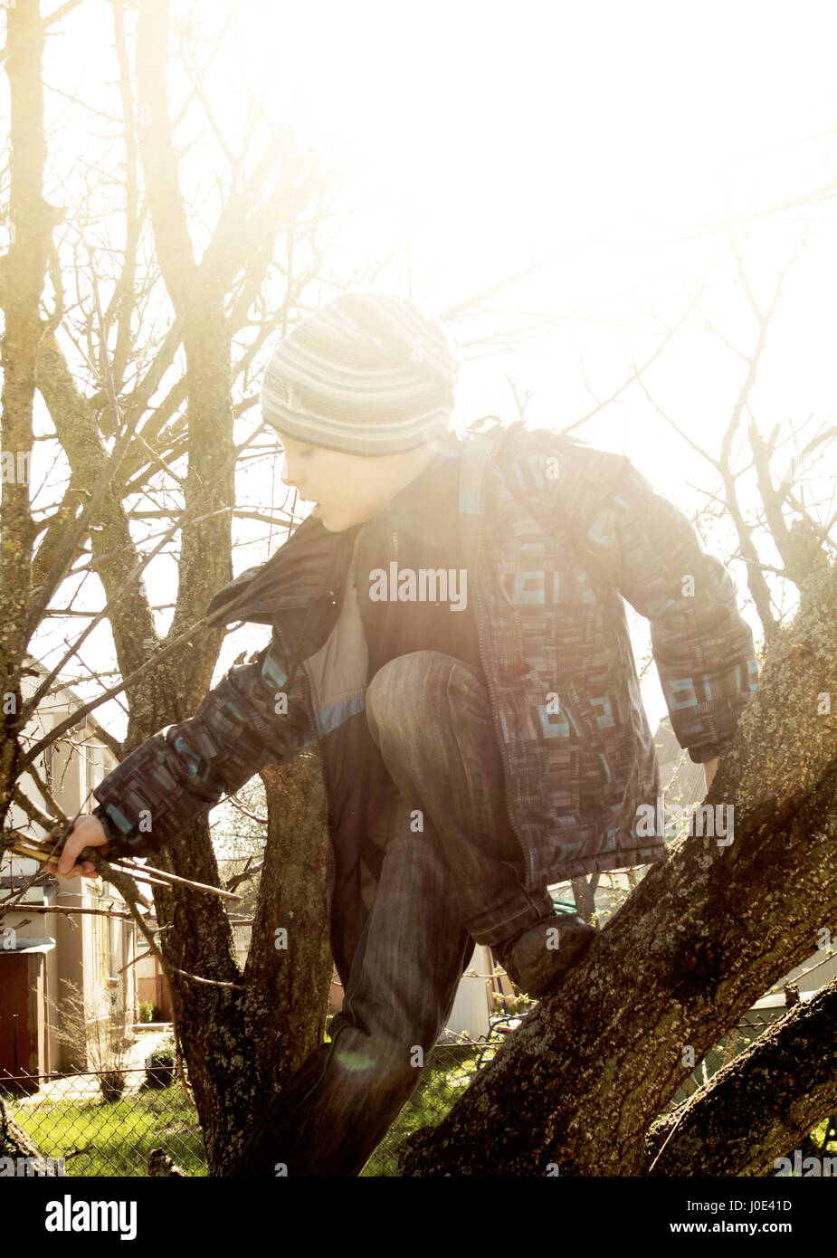Portrait of cute kid boy sitting on the big old tree on sunny day Stock ...