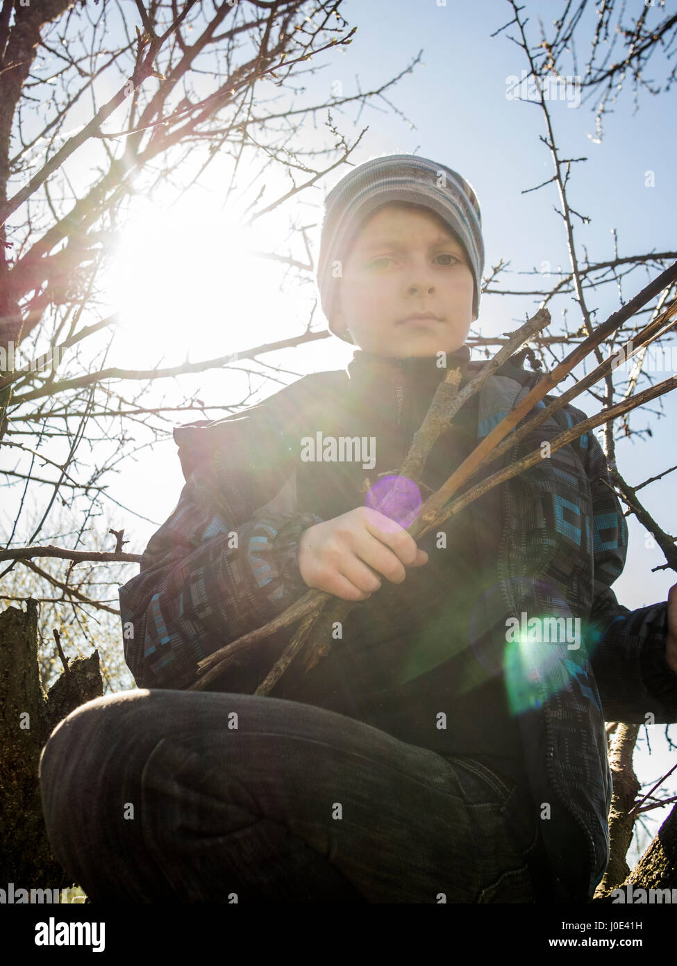 Portrait of cute kid boy sitting on the big old tree on sunny day Stock ...