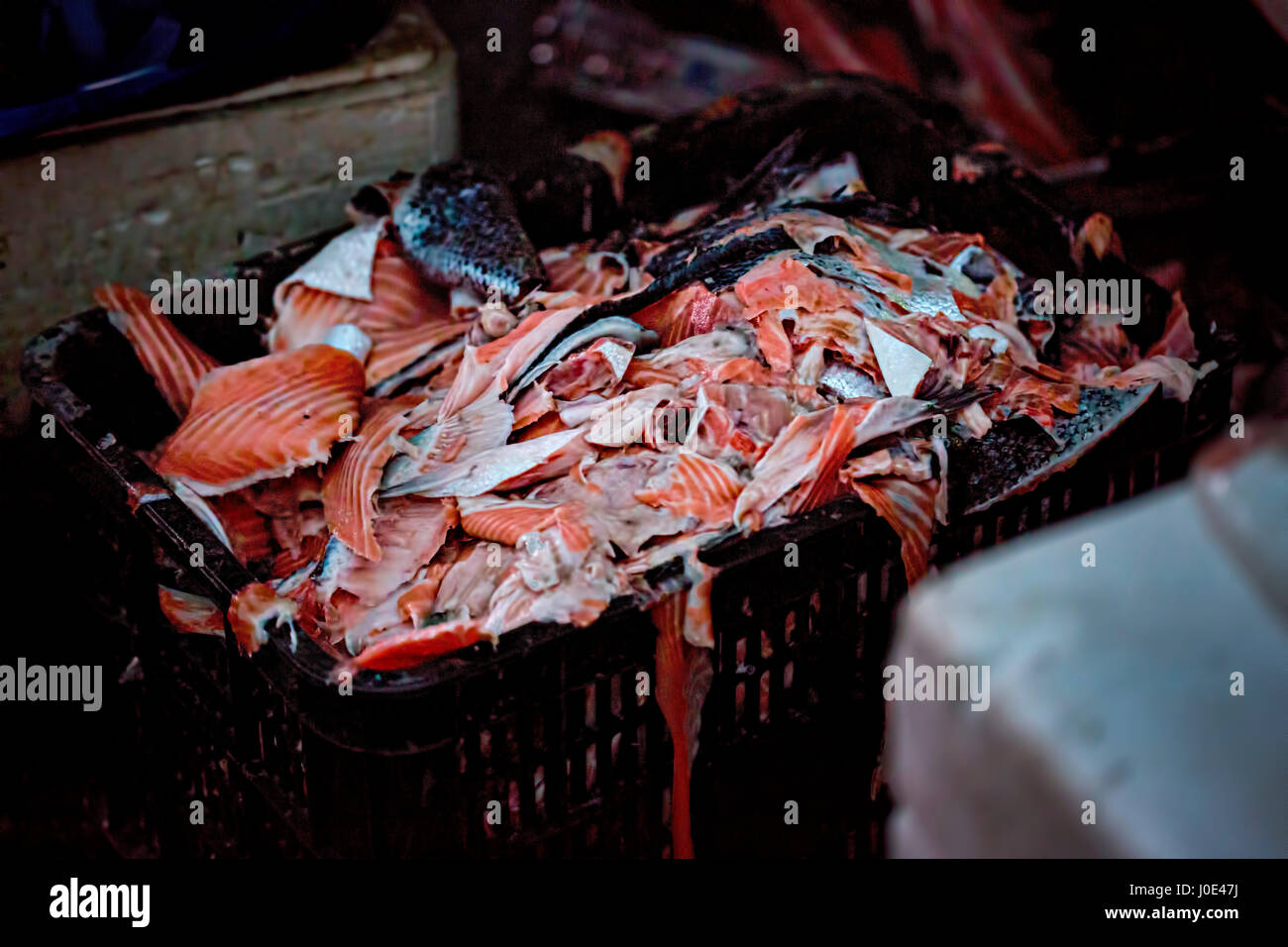 Leftover pieces of salmon on fish market Stock Photo - Alamy