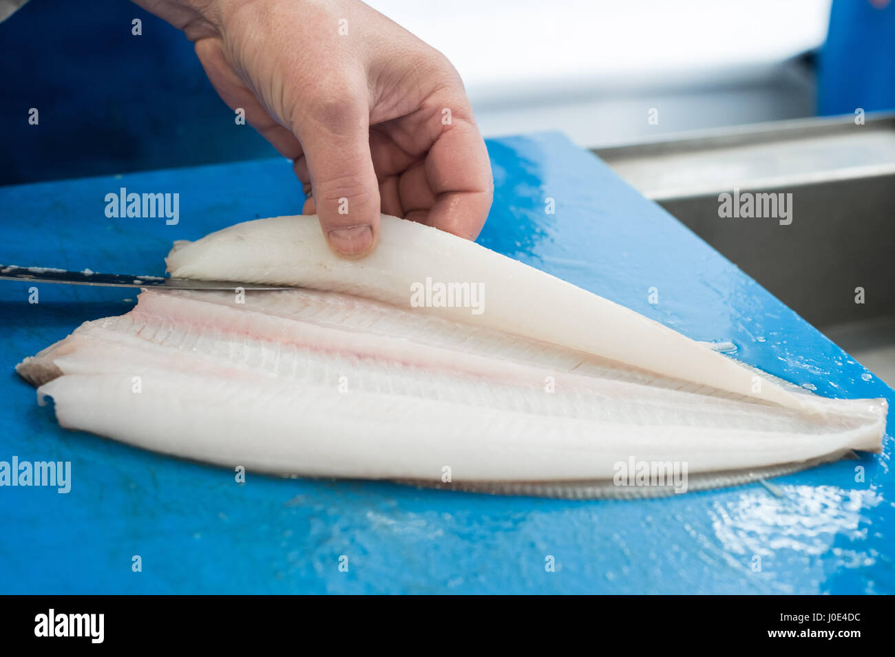 Witch flounder hi-res stock photography and images - Alamy