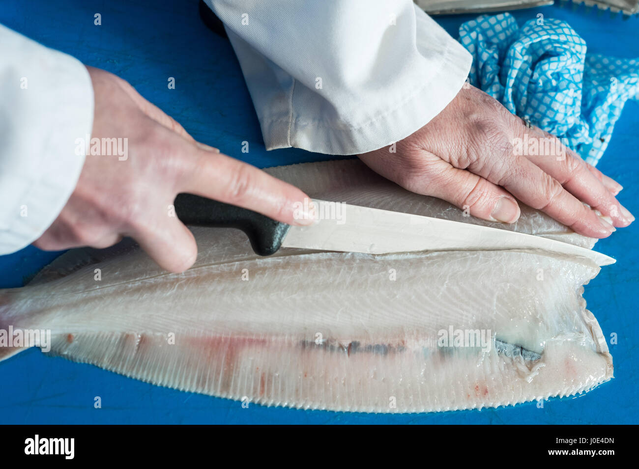 Preparing a Witch Sole (or Witch Flounder) flat fish for filleting ...