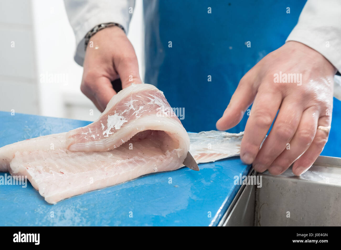 British freshwater fish hi-res stock photography and images - Alamy