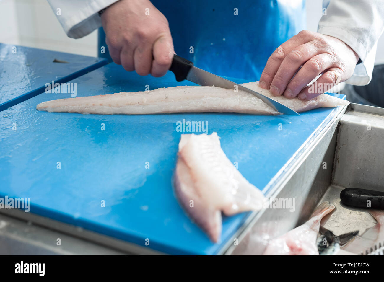 British freshwater fish hi-res stock photography and images - Alamy