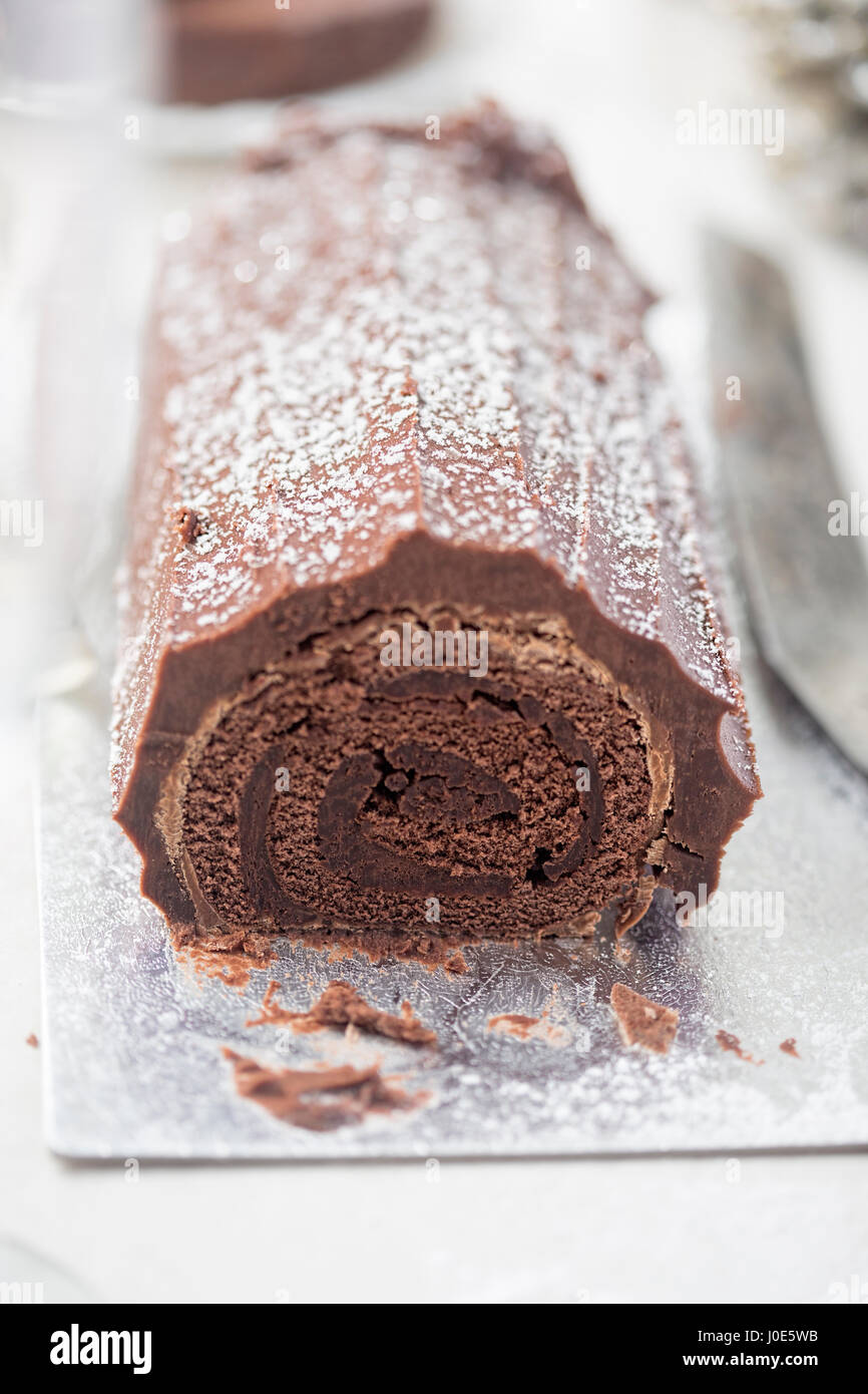 Chocolate roulade Christmas log with icing sugar Stock Photo - Alamy