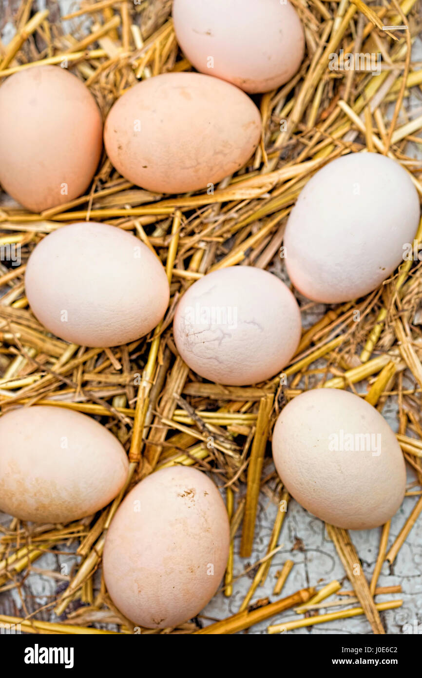Country eggs hi-res stock photography and images - Alamy