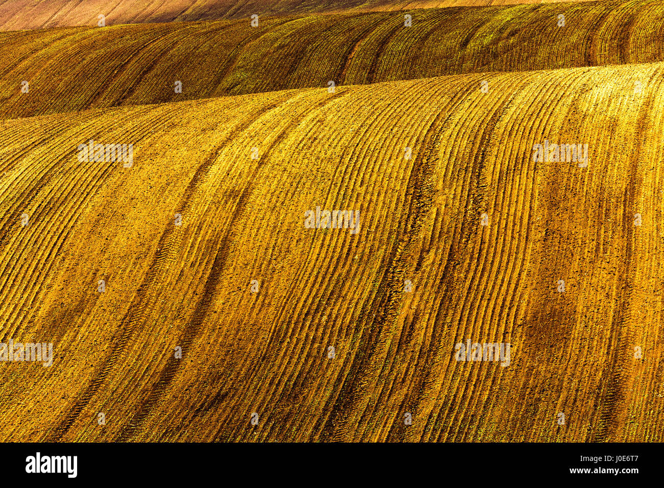 Brown field ready for sowing Stock Photo - Alamy
