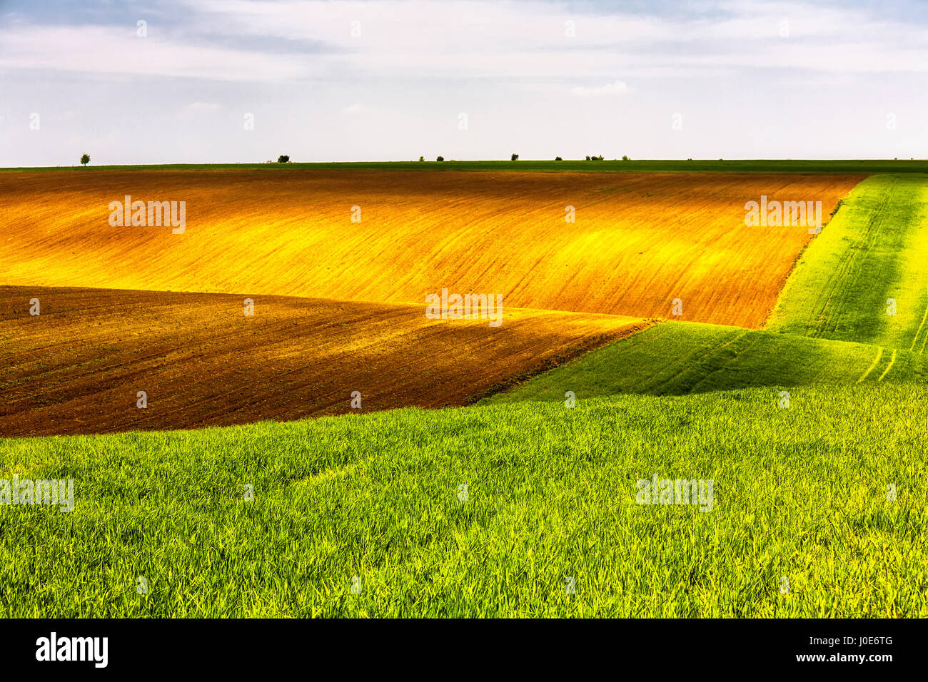 Sunny patches on fields with wavy relief Stock Photo - Alamy