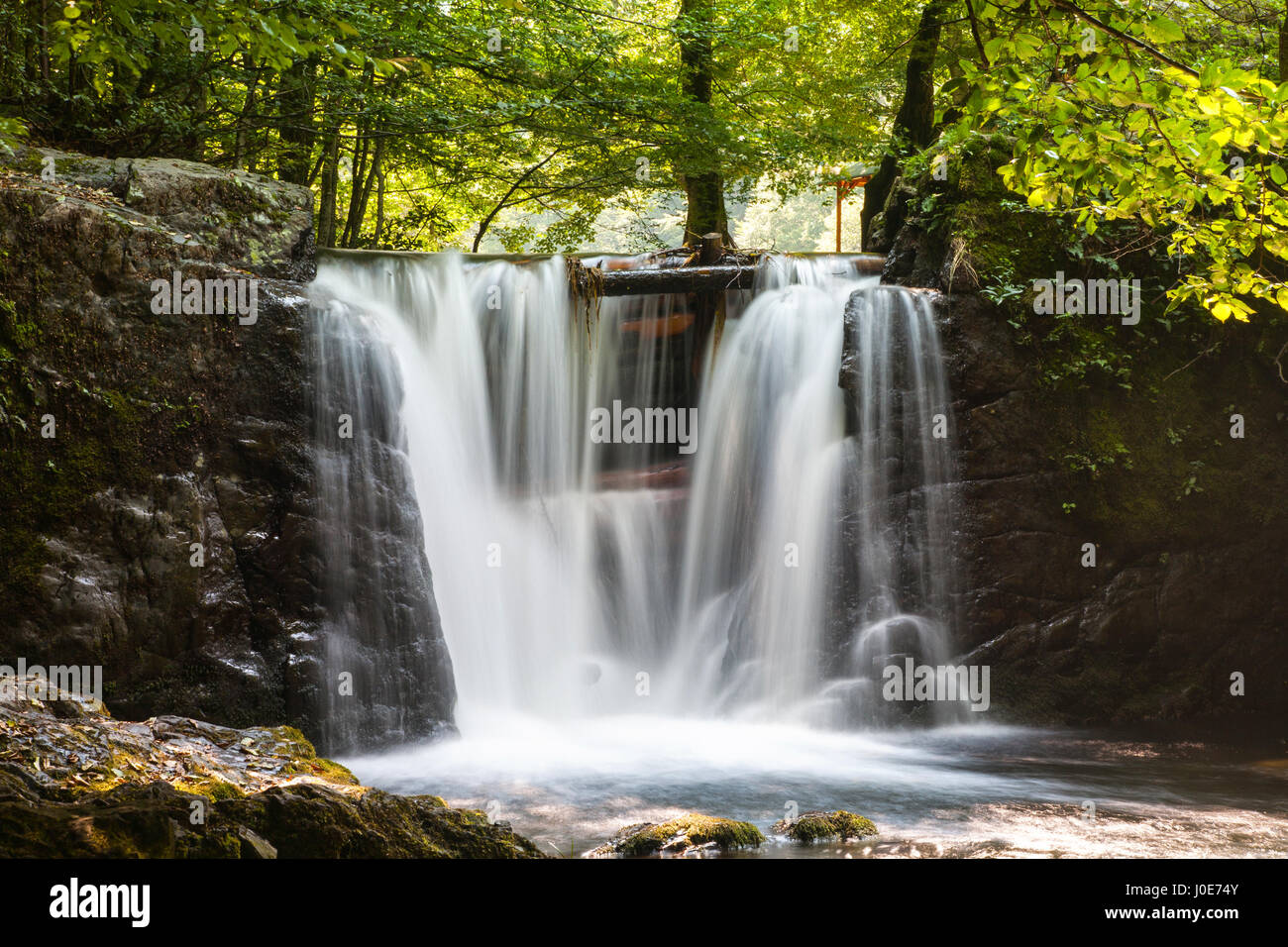 Small waterfall in mountain forest hi-res stock photography and images ...