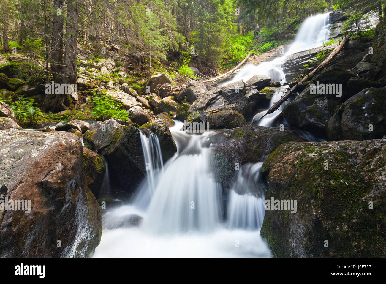 Powerful stream in spring forest Stock Photo - Alamy