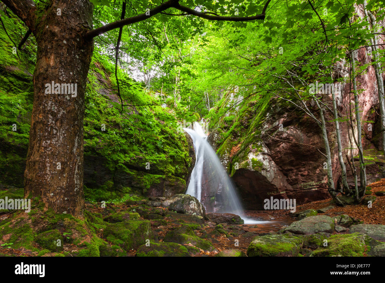 Waterfall in sunless forest spot Stock Photo - Alamy