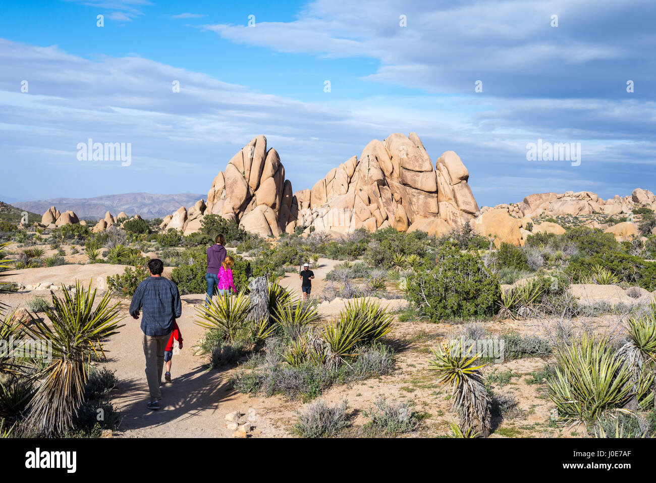 Rock formations and desert landscape along the Skull Rock Trail. Joshua ...