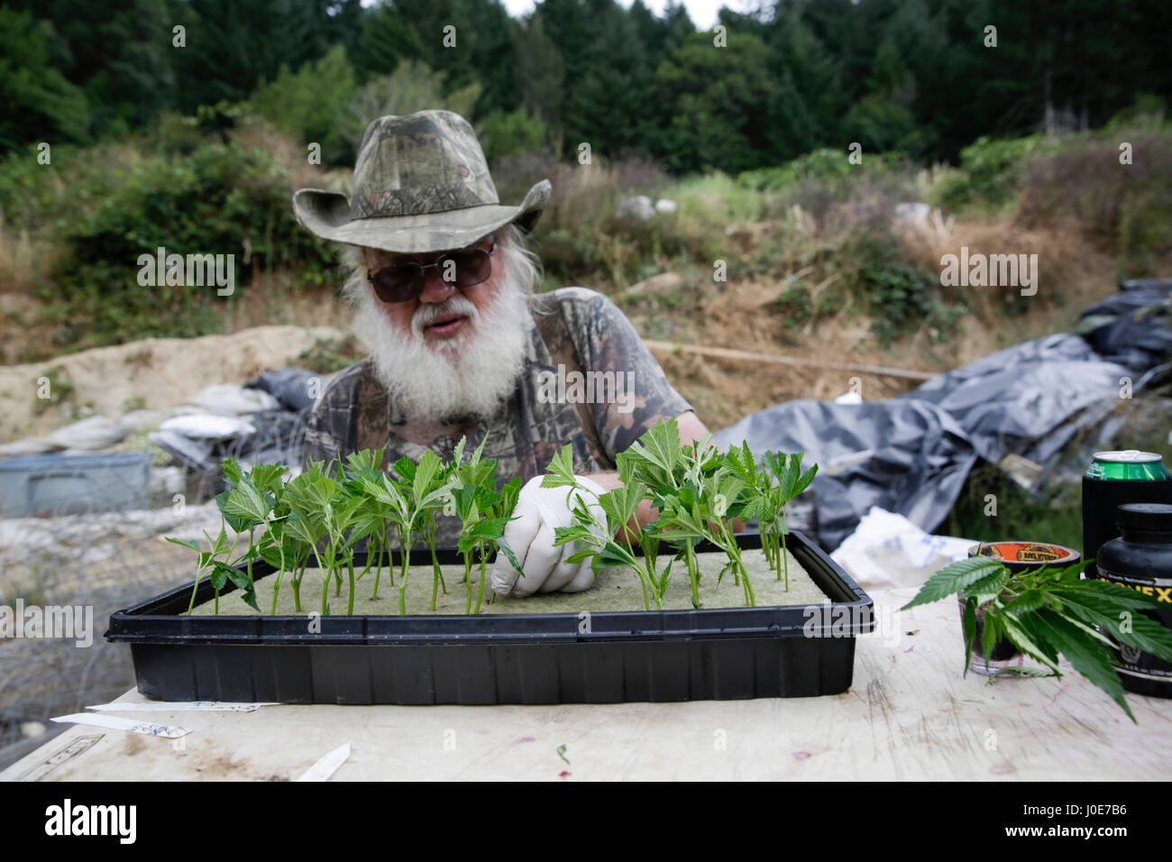 Yurok tribe hi-res stock photography and images - Alamy