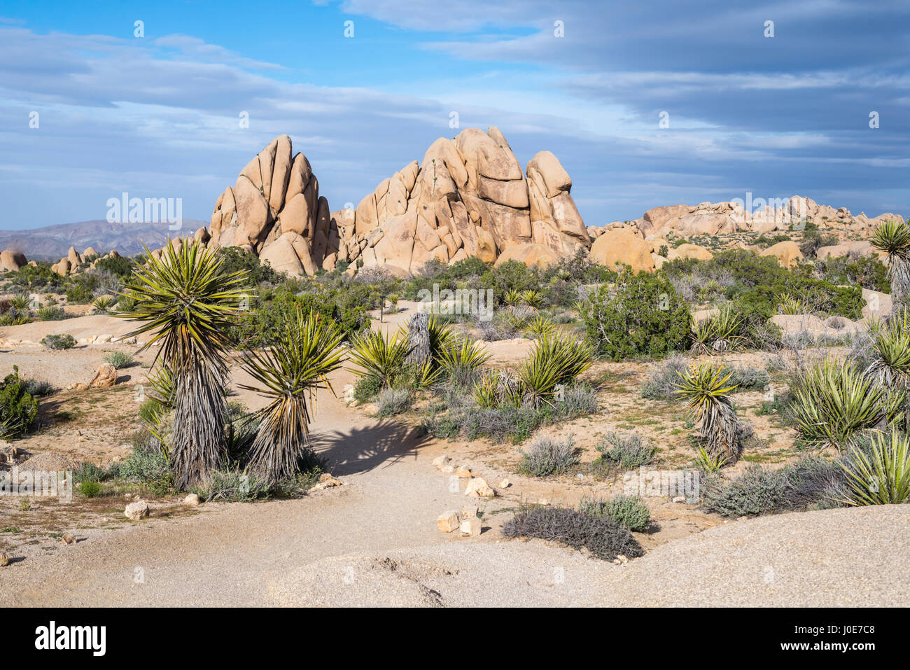 Rock formations and desert landscape along the Skull Rock Trail. Joshua ...