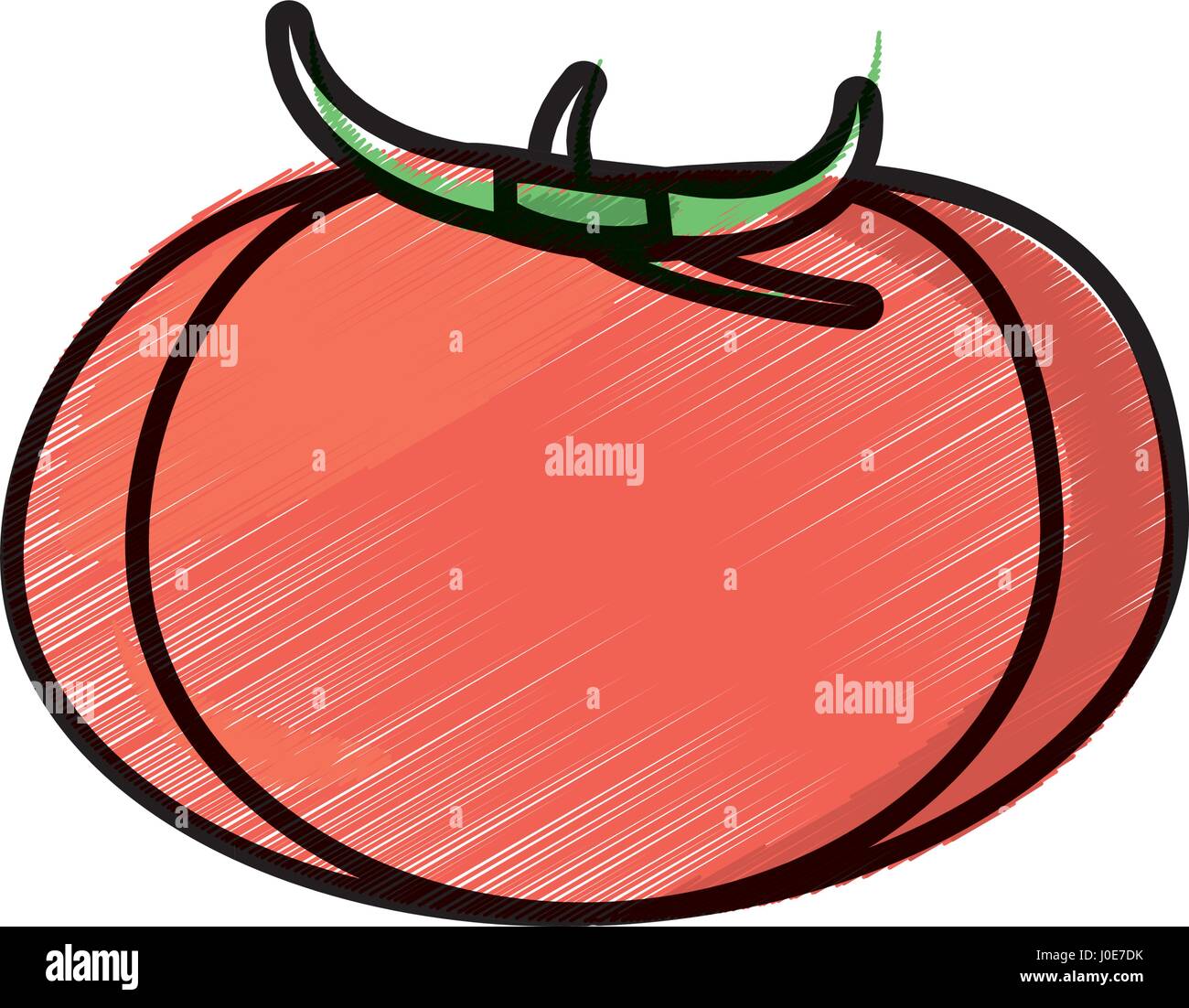 drawing tomato vegetable nutrition Stock Vector Image & Art - Alamy
