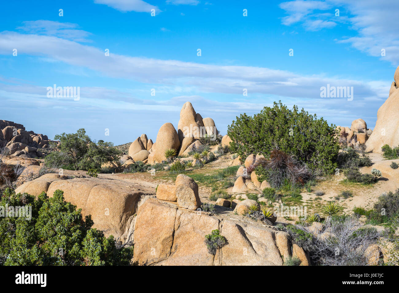 Rock formations and desert landscape along the Skull Rock Trail. Joshua ...