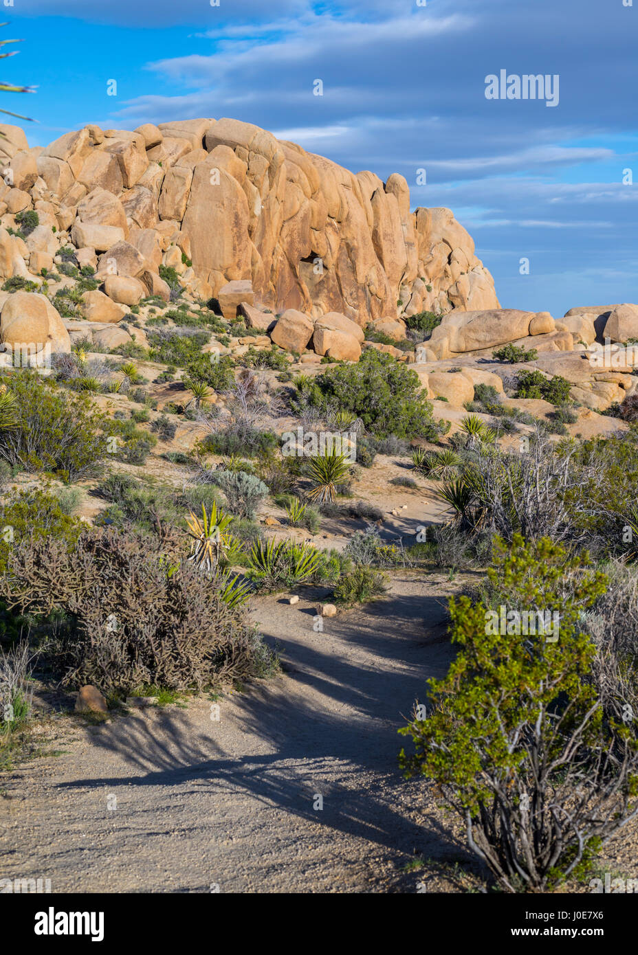 Rock formations and desert landscape along the Skull Rock Trail. Joshua ...