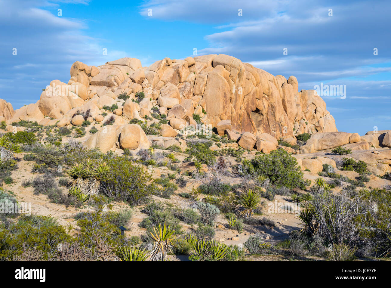 Rock formations and desert landscape along the Skull Rock Trail. Joshua ...