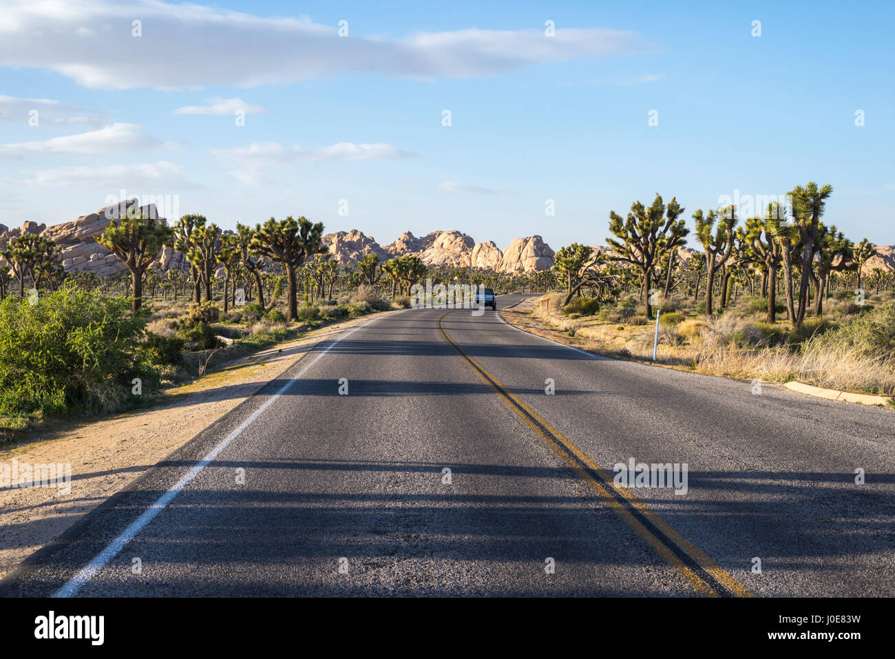 Desert landscape and road running through Joshua Tree National Park ...