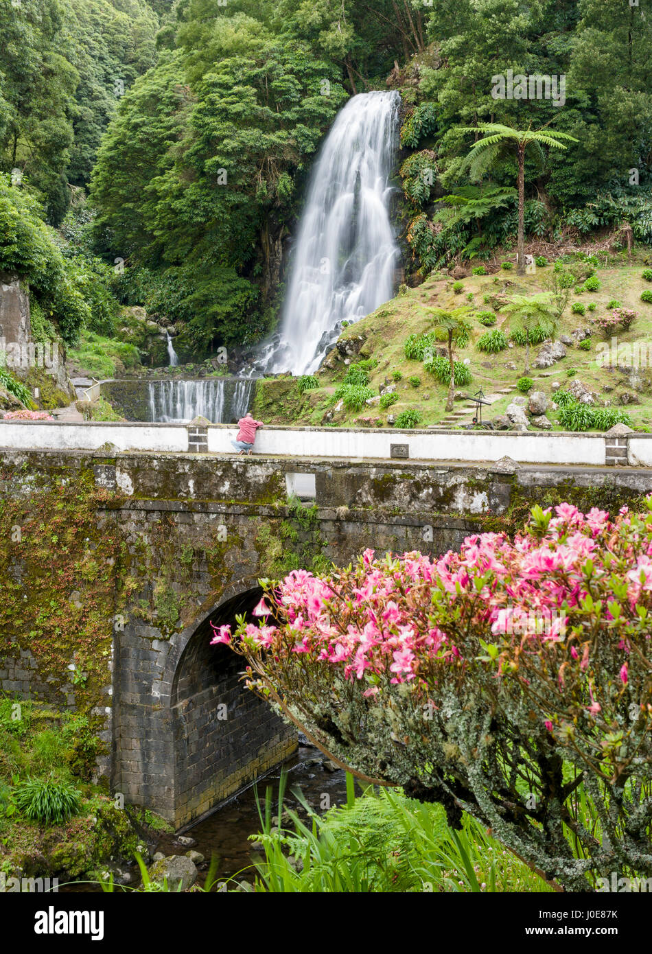 Road side spring waterfall hi-res stock photography and images - Alamy
