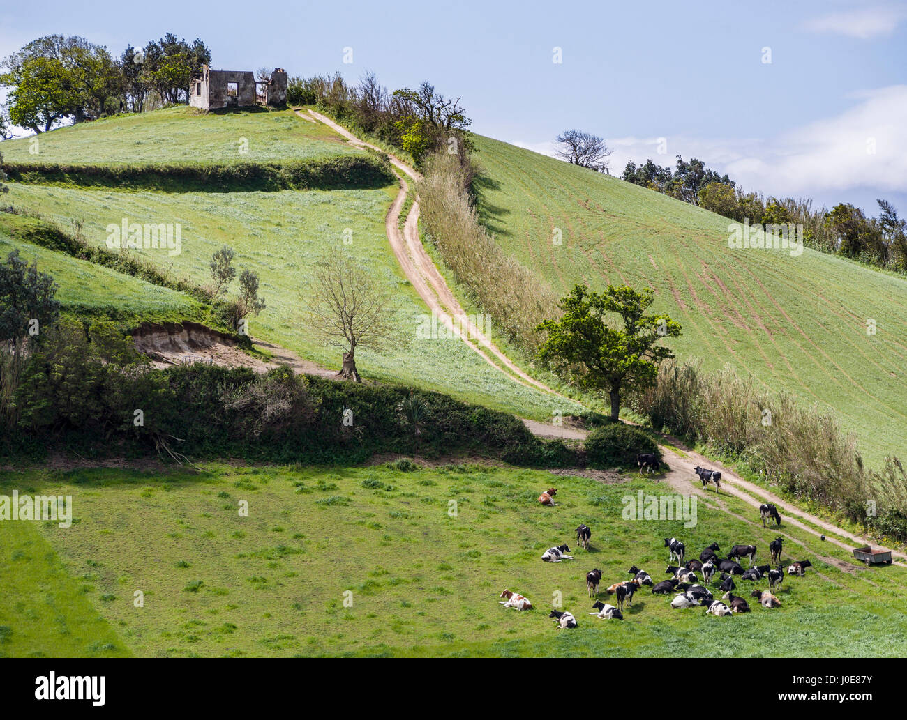 Rutted farm track hi-res stock photography and images - Alamy