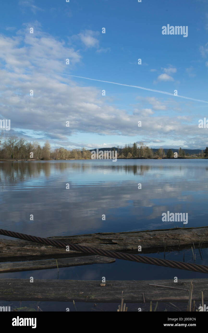 Cheadle Lake is a reclaimed mill pond. Logs still float at the west end ...