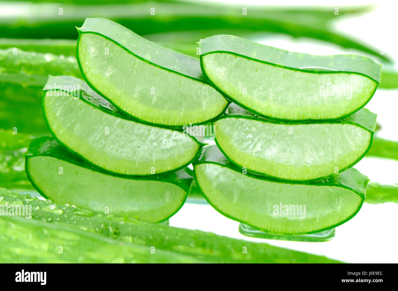 Slice Aloe Vera (Aloe barbadensis Mill.,Star cactus, Aloe, Aloin ...