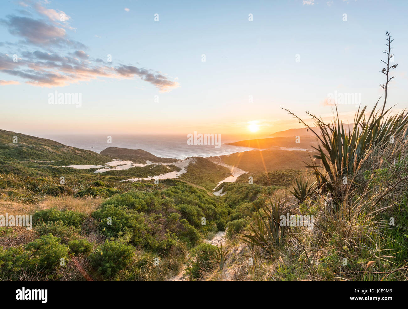 Sunset over the sea, sand dunes, Sandfly Bay, Dunedin, Otago, Otago ...