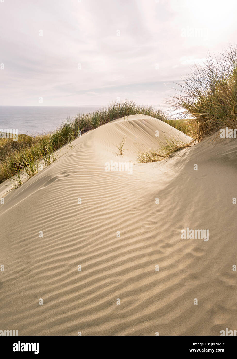 Sand Dune, Sandfly Bay, Dunedin, Otago, Otago Peninsula, Southland, New ...