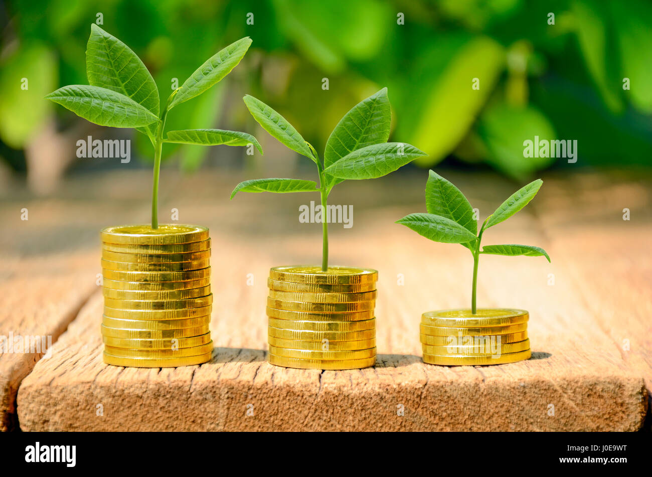 Money interest hi-res stock photography and images - Alamy
