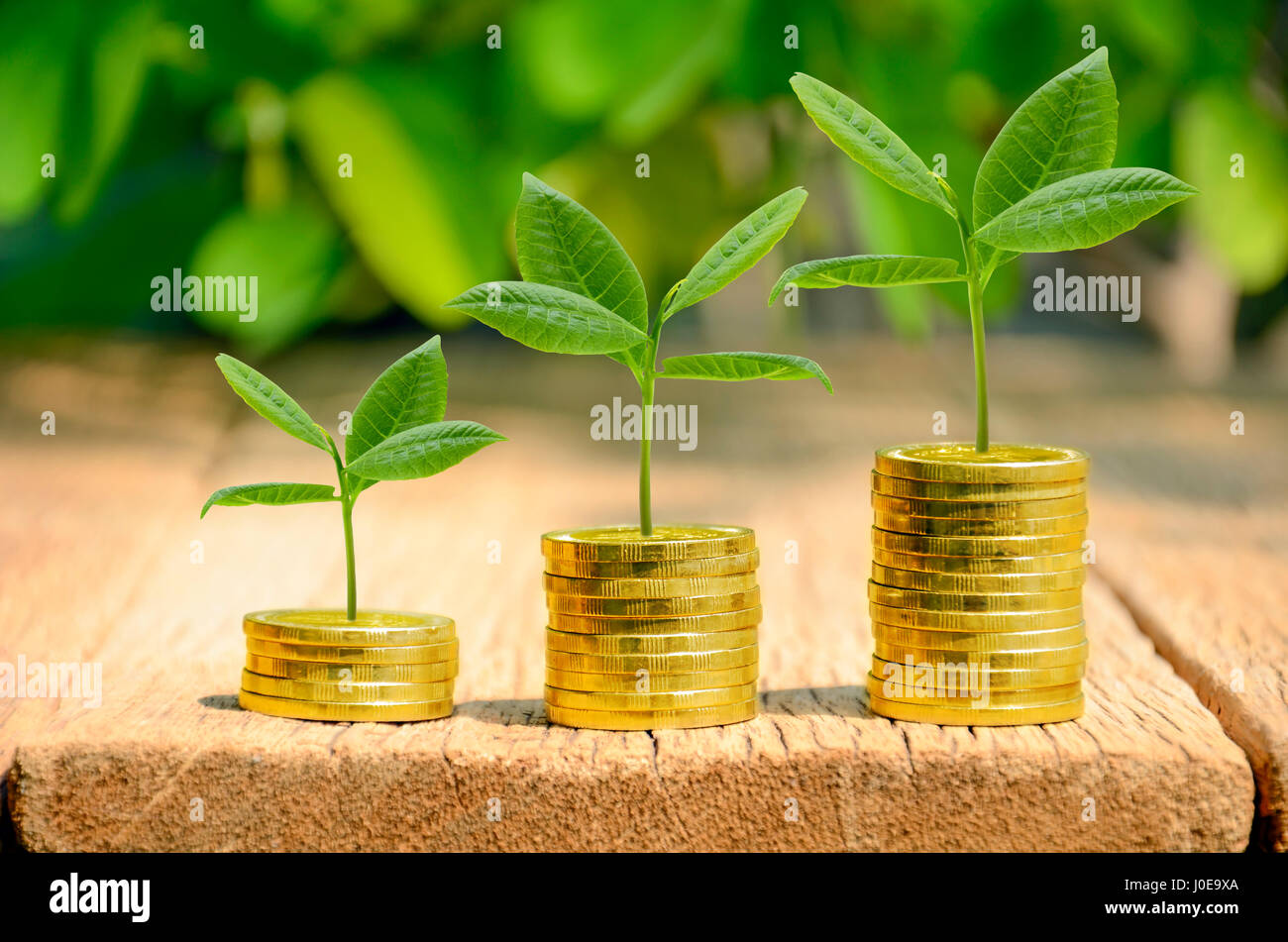 Investment, money, interest and financial concept Stock Photo - Alamy