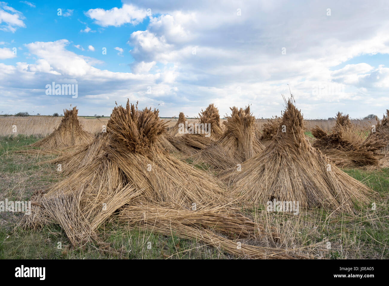 Cloud harvesting hi-res stock photography and images - Alamy