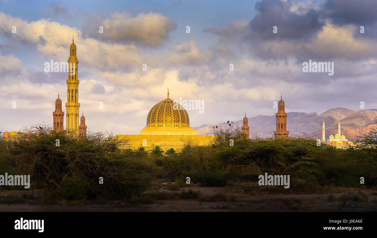 Sunset on classical buildings with the light illuminating multiple ...