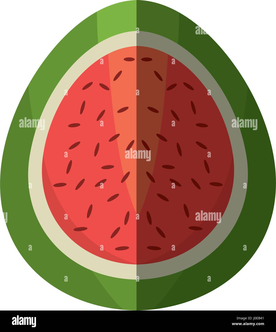 Half watermelon fruit shadow vector hi-res stock photography and images ...