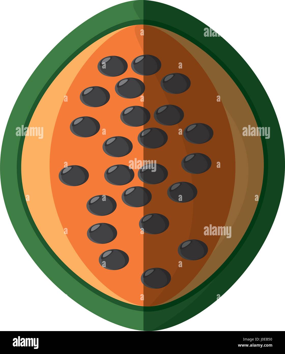 papaya healthy food shadow Stock Vector Image & Art - Alamy