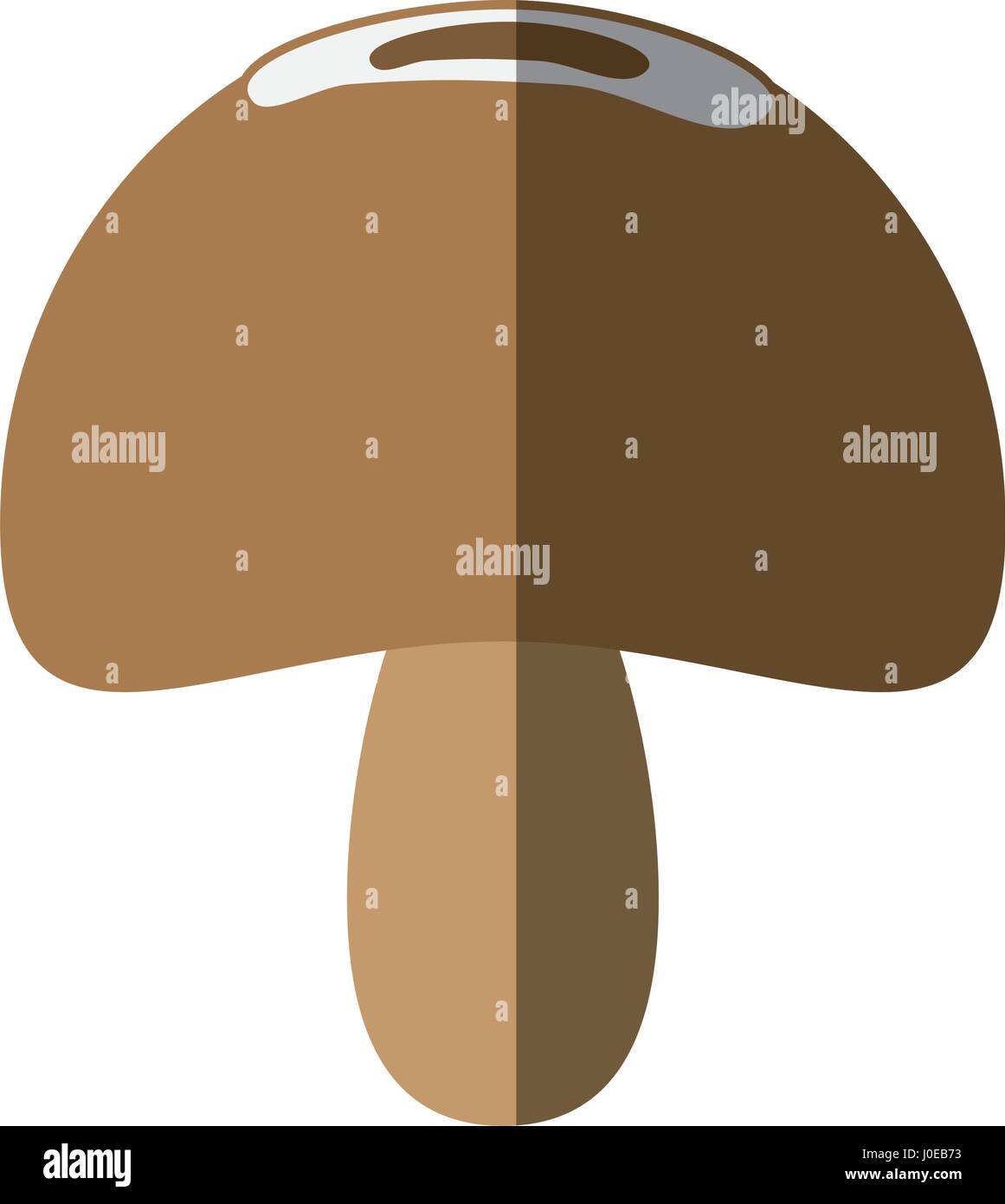 Food close up mushrooms Stock Vector Images - Alamy