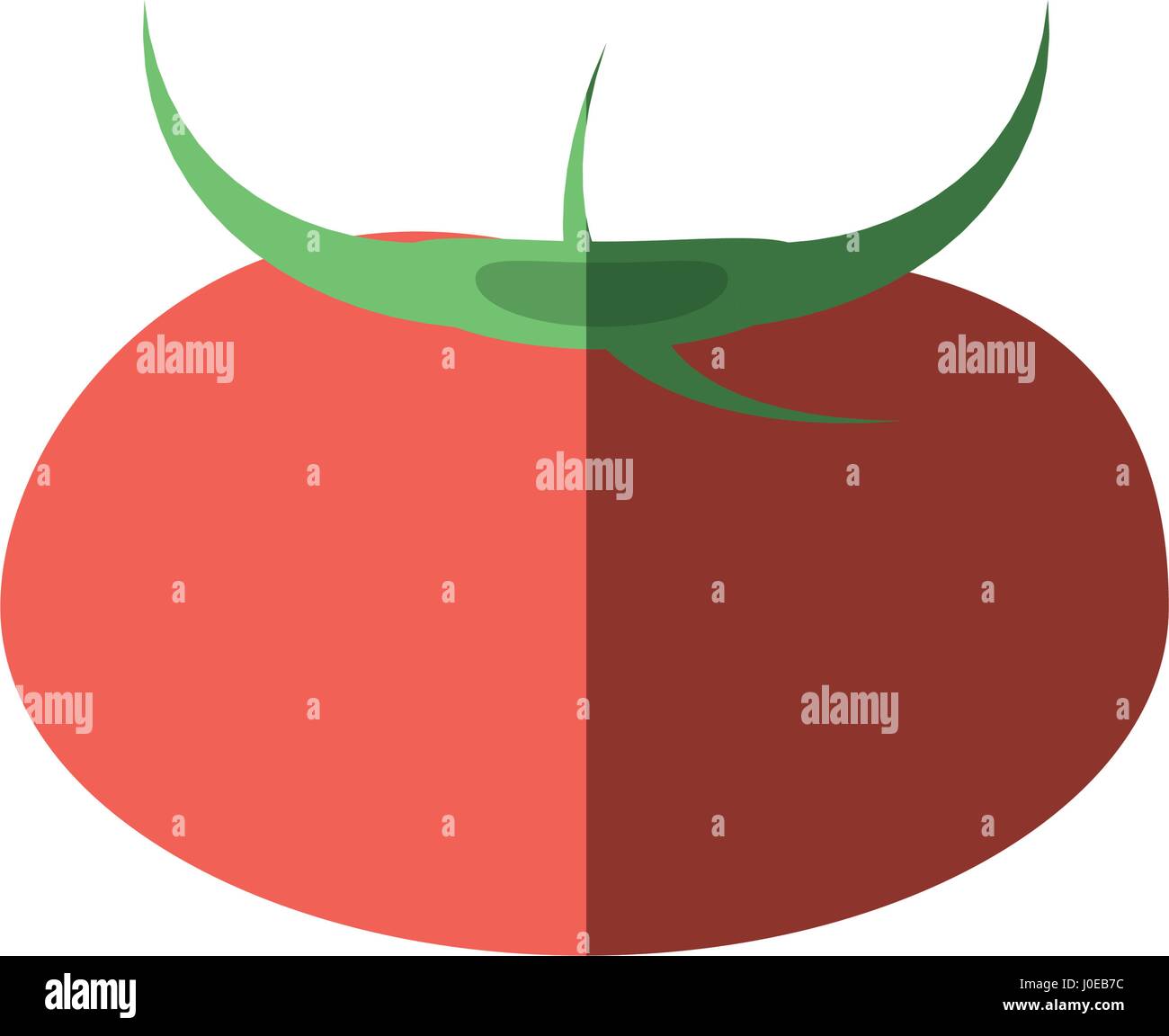 tomato nutrition food shadow Stock Vector Image & Art - Alamy