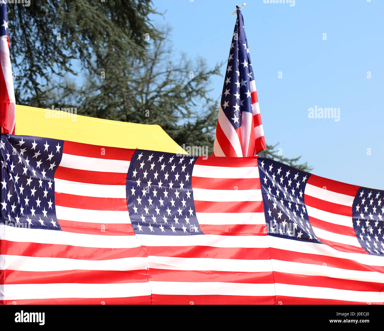 American flags with blue sky and the branches of a tree Stock Photo - Alamy