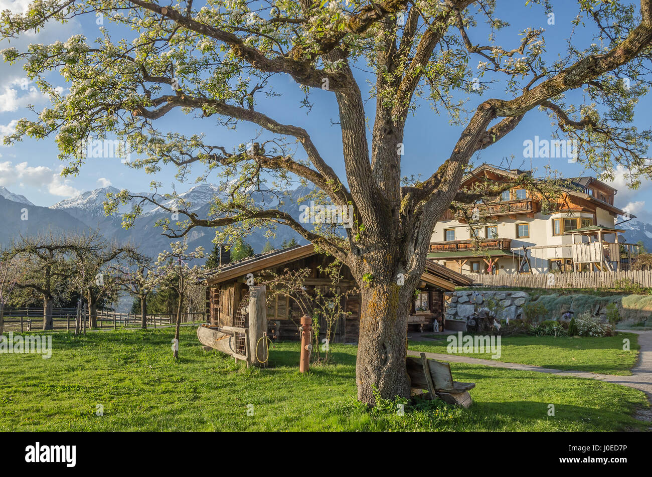 The Zillertal ("Ziller valley") a valley in Tyrol, Austria drained by ...